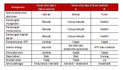 TIPE SERAT OTOT | Asosiasi Pelatih Kebugaran Indonesia